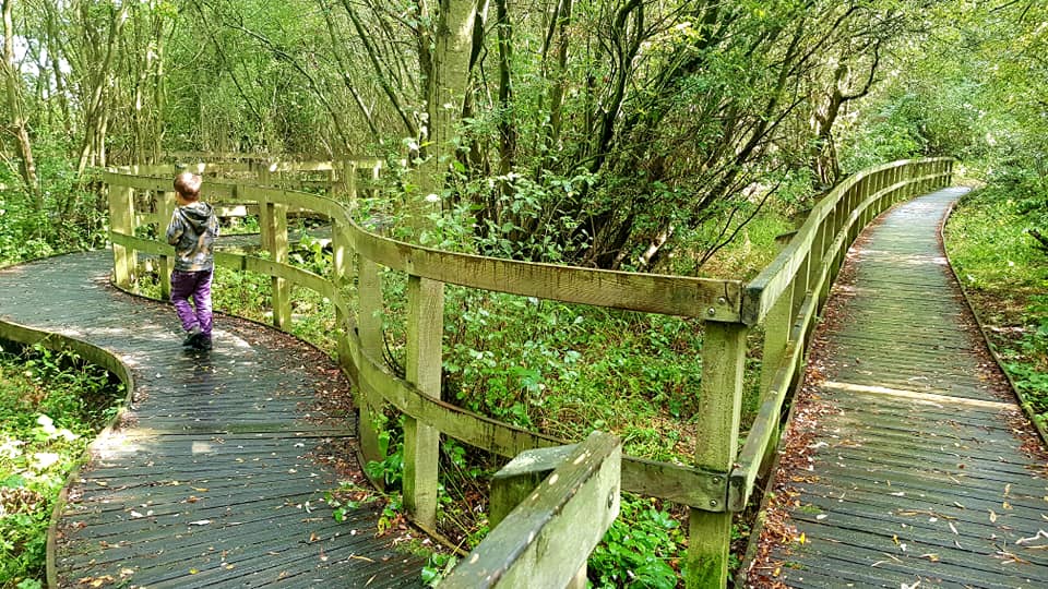Emberton country park a brilliant day out for the kids