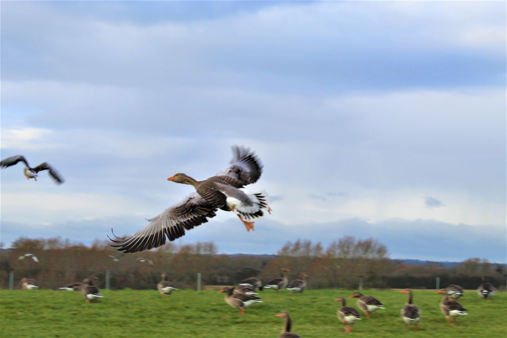 Farmoor Reservoir Walk Review - The Family Ticket