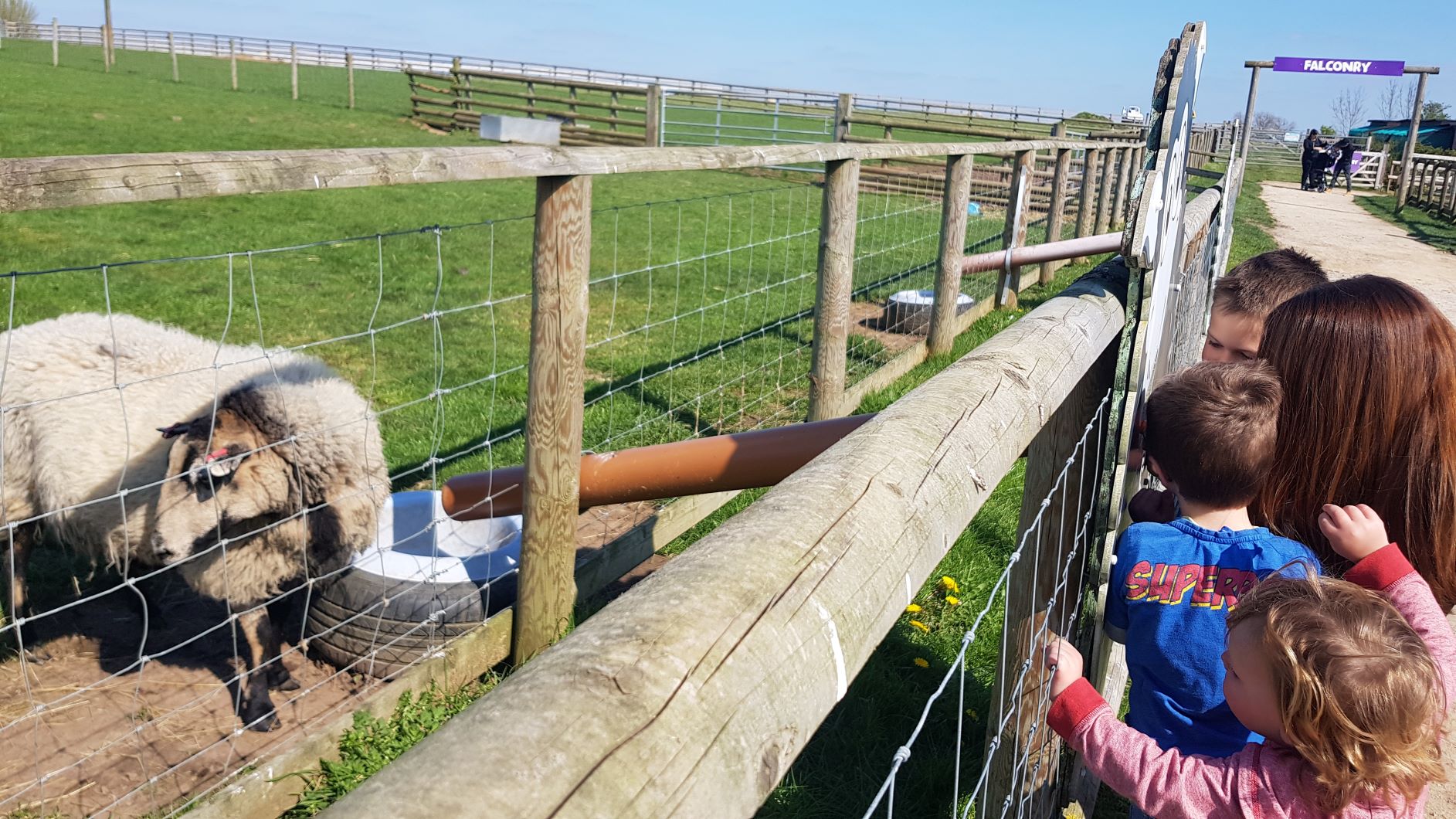 Hatton Country World Review - From The Family Ticket