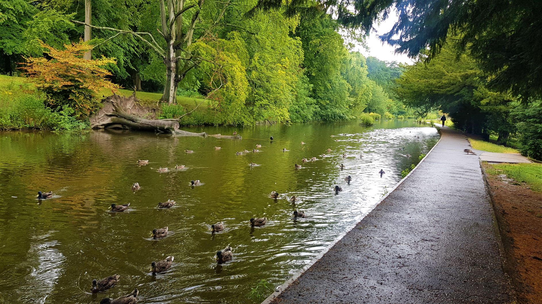 The Rye High Wycombe - The Family Ticket Review