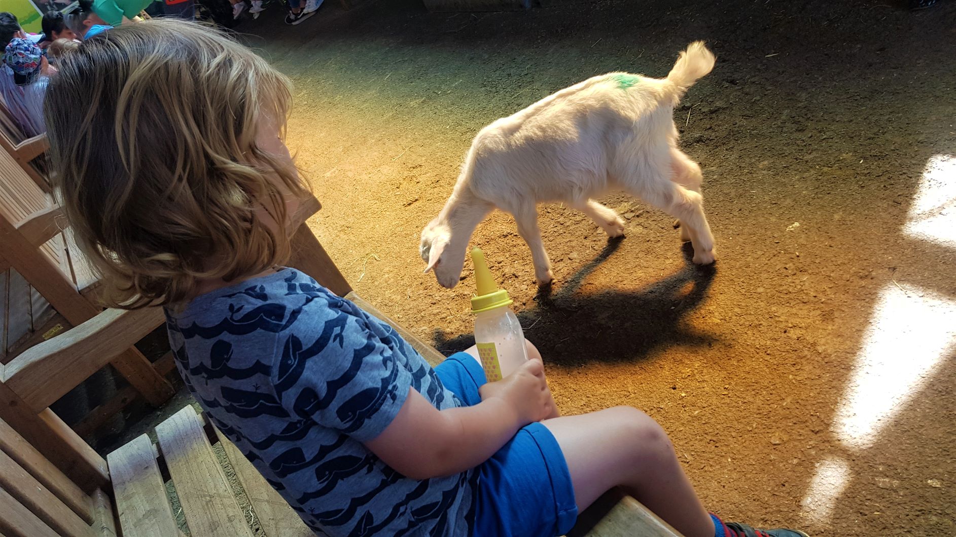 Farmer Gow's Activity Farm - The Family Ticket Review