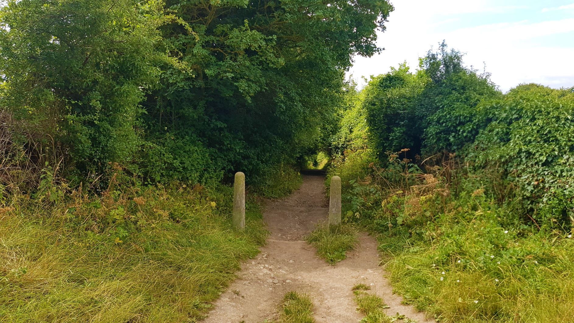 Evenlode River Paddling | Stonesfield - The Family Ticket