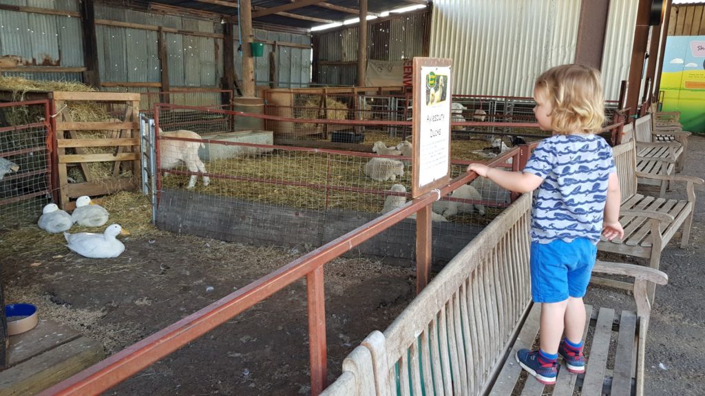 Farmer Gow's Activity Farm - The Family Ticket Review