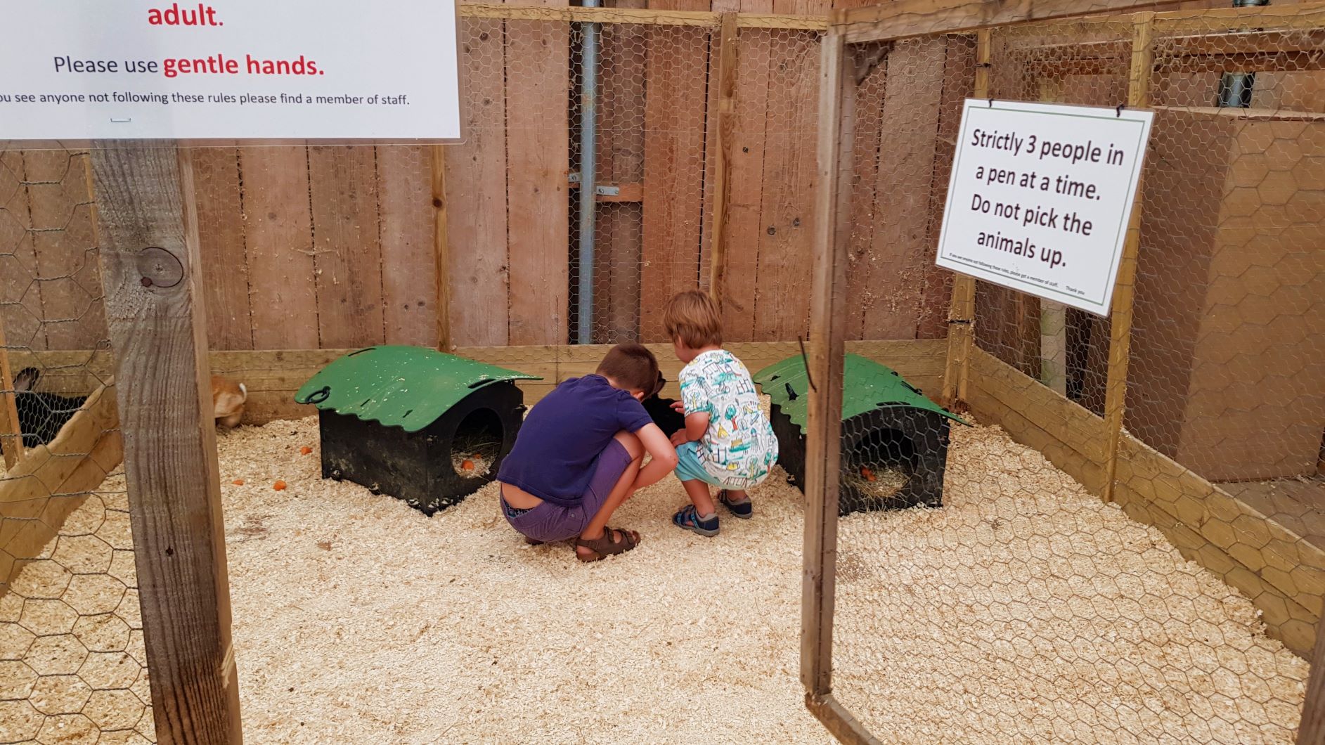 Mini Meadows Farm Park - The Family Ticket Review