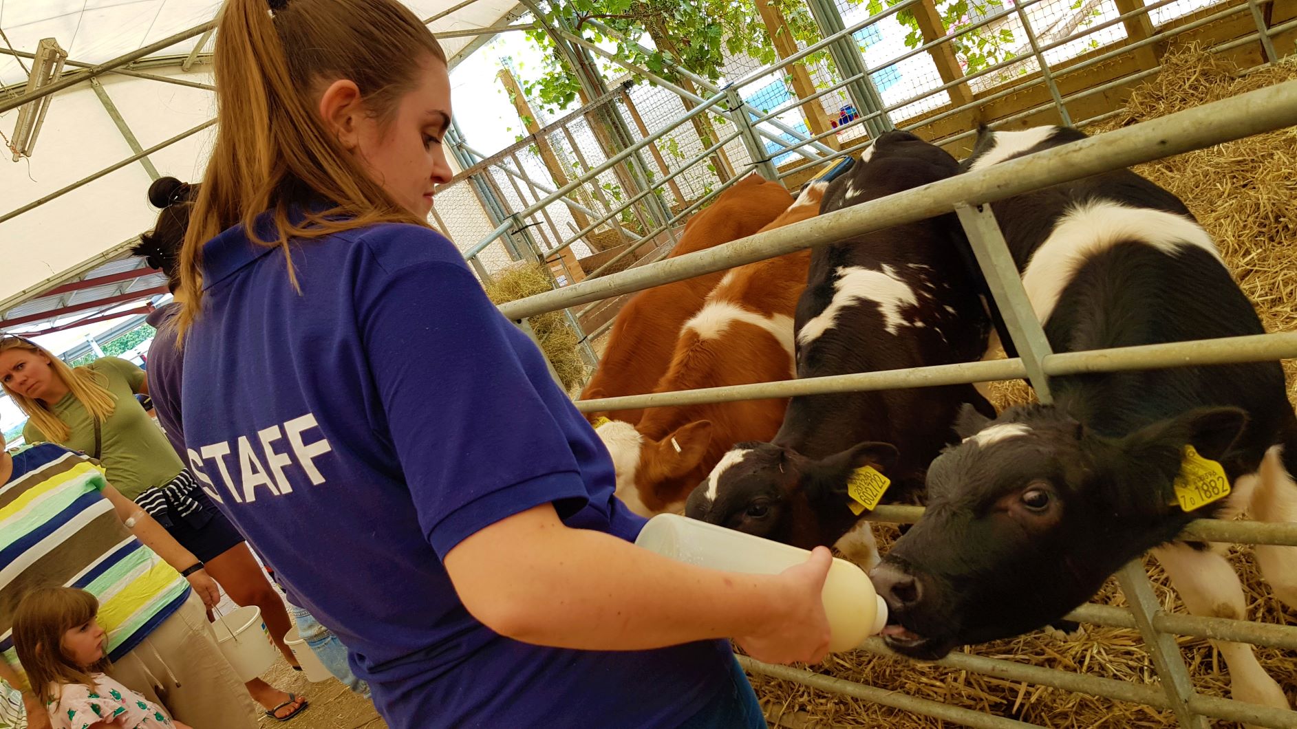 Mini Meadows Farm Park - The Family Ticket Review