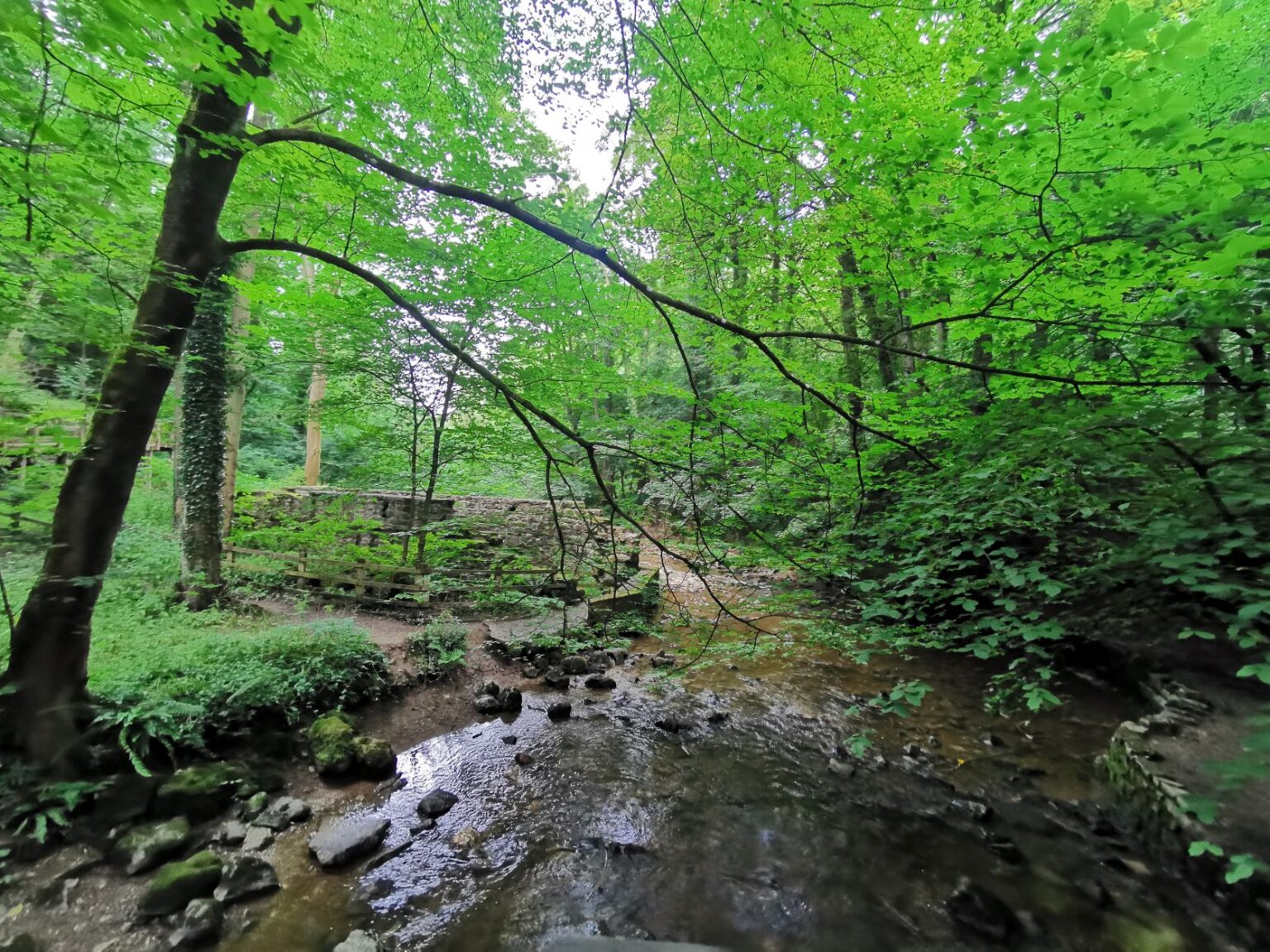 Loggerheads Country Park - The Family Ticket