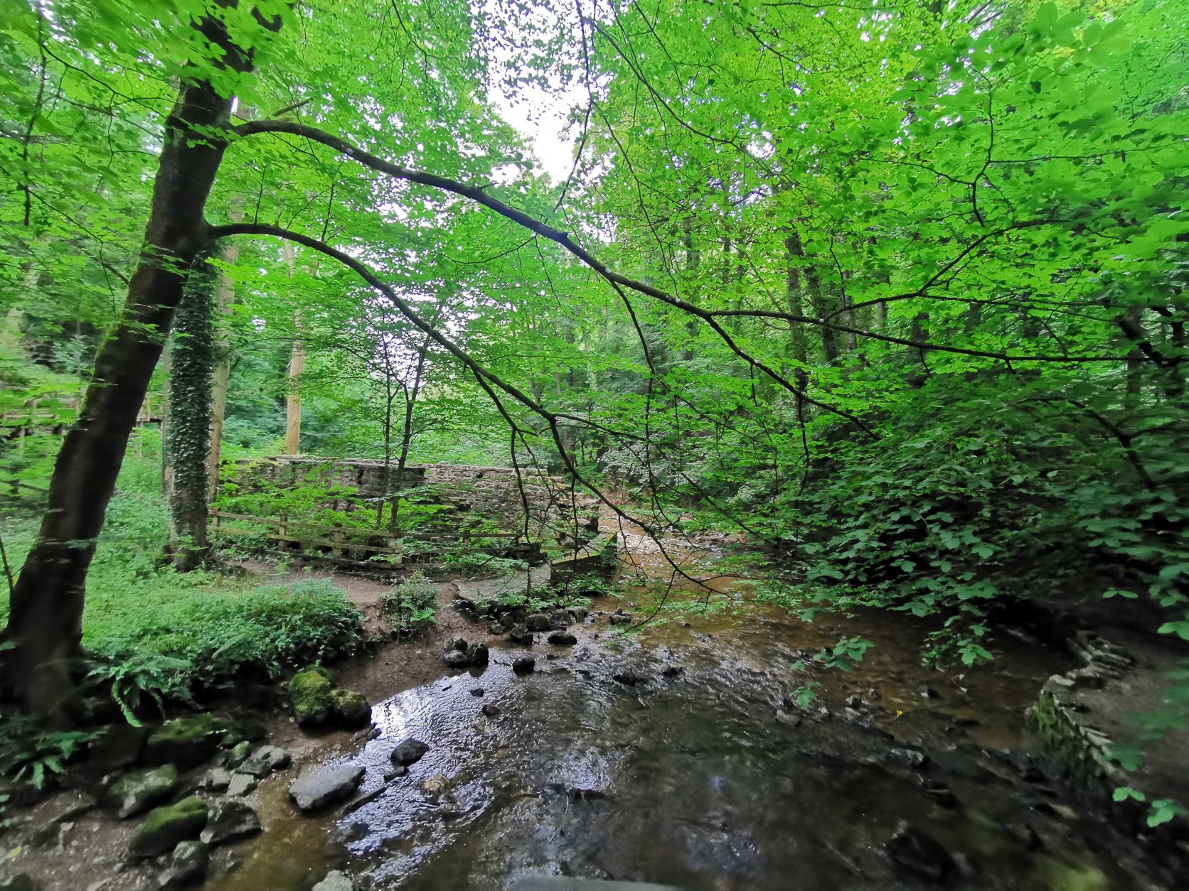 Loggerheads Country Park - The Family Ticket