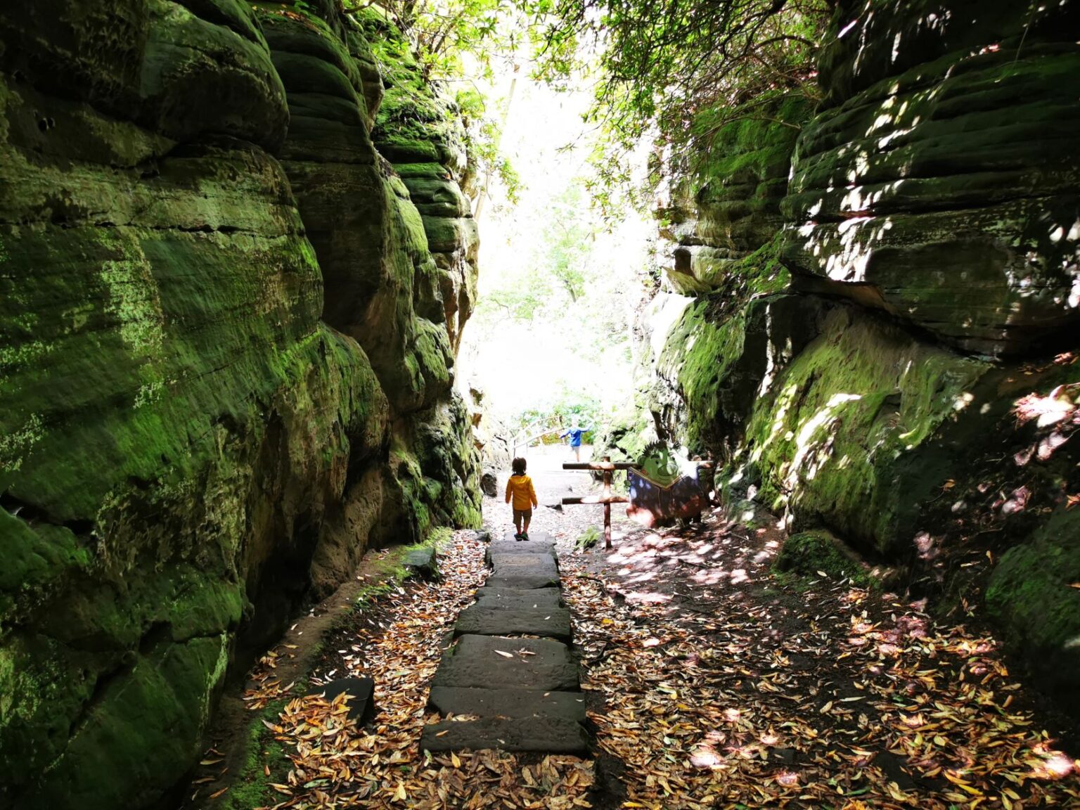 Hawkstone Park Follies - The Family Ticket