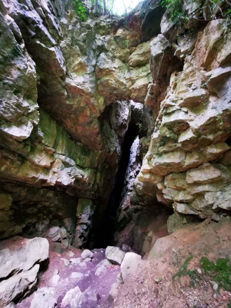 Loggerheads Country Park - The Family Ticket