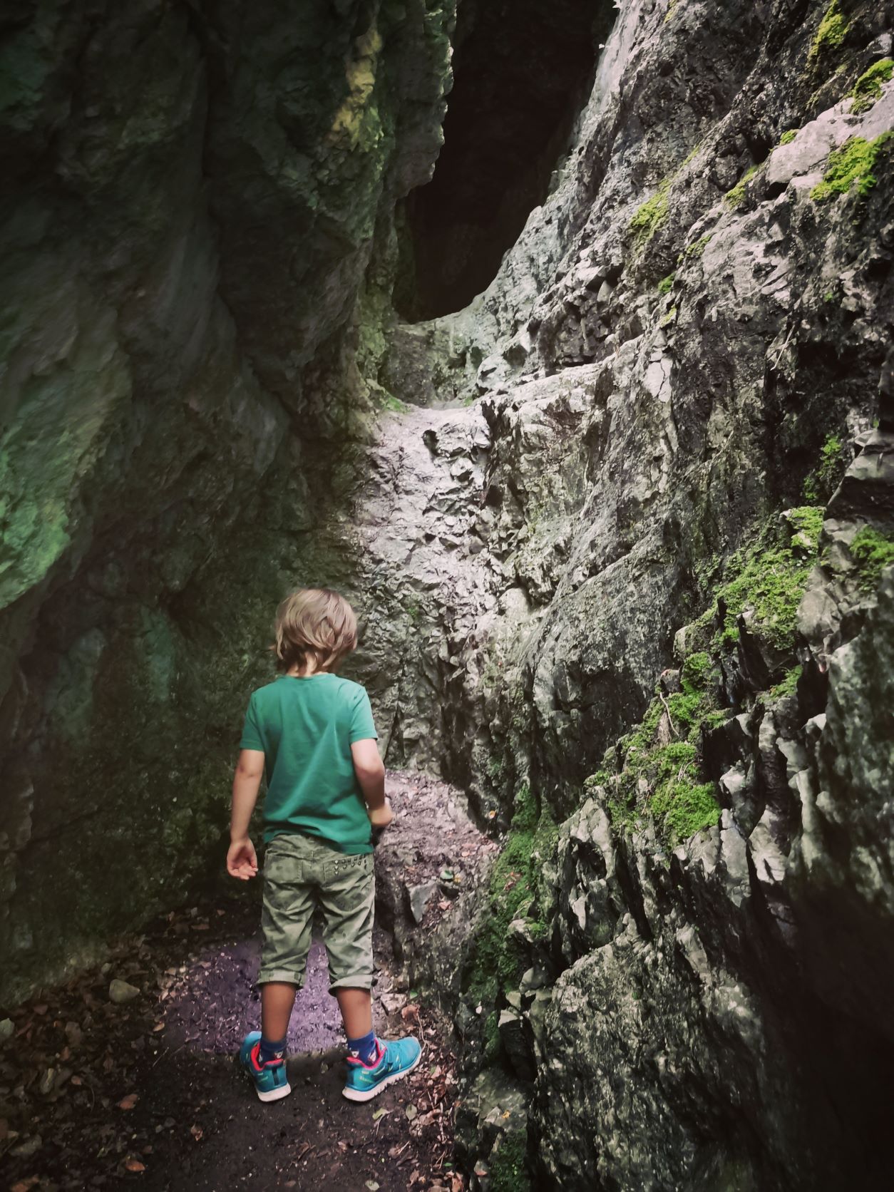 Loggerheads Country Park - The Family Ticket