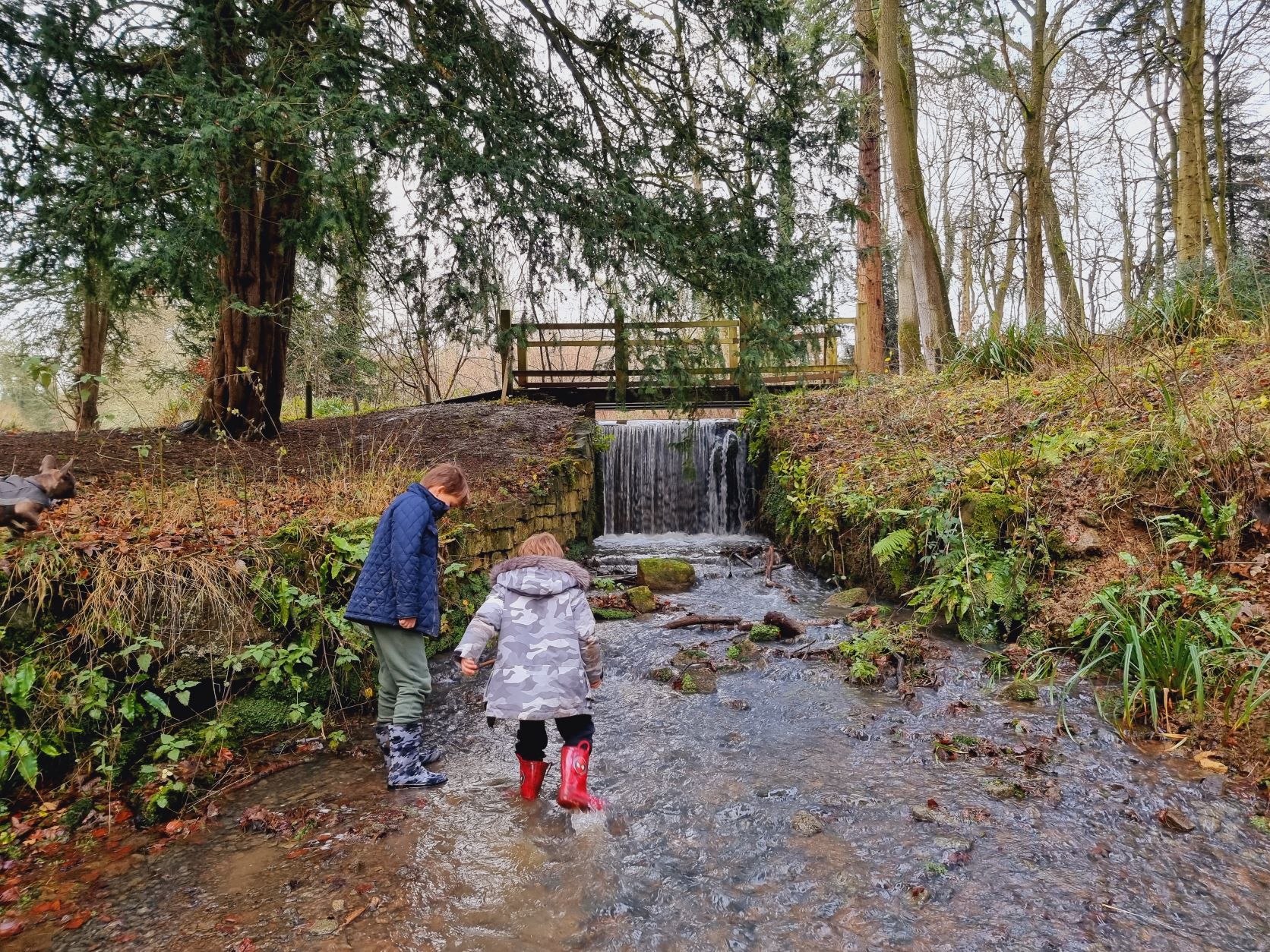Heythrop Park Walk - The Family Ticket