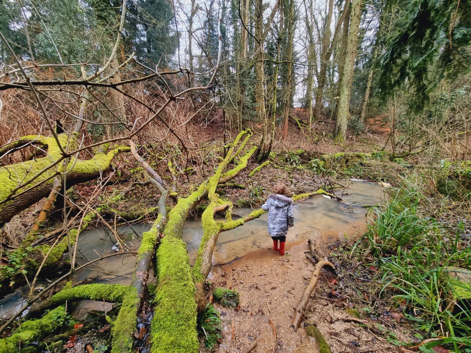 Heythrop Park Walk - The Family Ticket