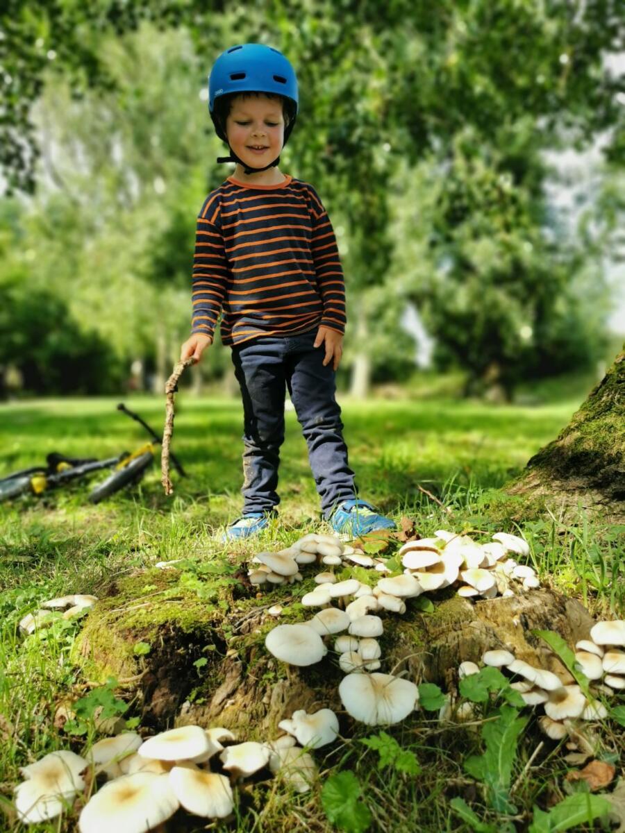 Tiddenfoot waterside park - The Family Ticket